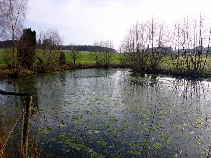 die Klerf :: Retour aux sources